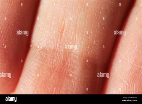 The Fingers Of The Female Hand On The Inside Macro Photography Stock