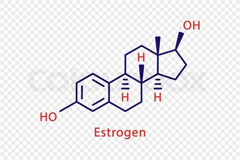 Estrogen Chemical Formula Estrogen Structural Chemical Formula