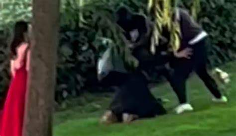 Video Wedding Photographer Pistol Whipped During San Francisco Photo