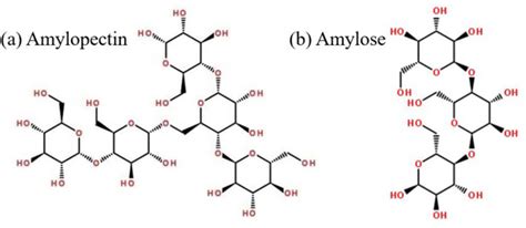 Chemical Structural Formulas Of Amylopectin And Amylose Download