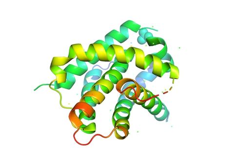 Premium Photo 3d Structure Of The Protein Molecule