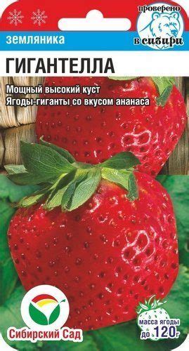 Земляника Гигантелла 10 шт. 7930041233958 артикул: 11023 | Интернет ...