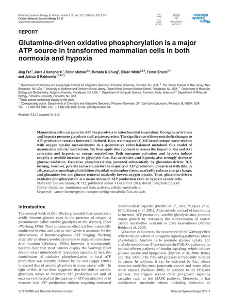 Pdf Glutamine Driven Oxidative Phosphorylation Is A Major Atp Source