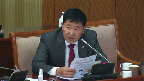 Б Дэлгэрсайхан Засгийн газар Ашигт малтмалын тухай хуулийг яаралтай оруулж ирэх нь зүйтэй Youtube