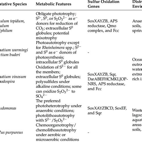 Representative Strains Of Sulfide Oxidizing Bacteria And Their