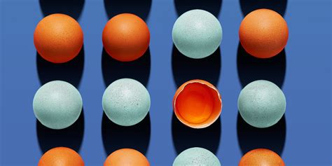 Creative Egg Shell Crafts And Diy Ideas Happy Egg