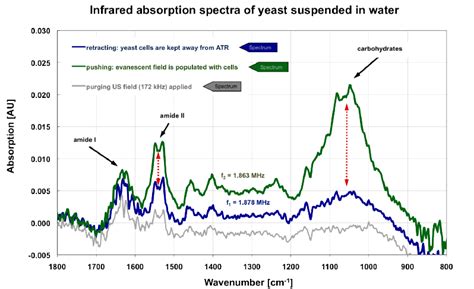 Absorption Spectra When Evanescent Field Was Populated With Yeast Cells