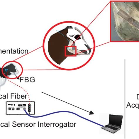 Positioning Of The Sensor And Data Acquisition Download Scientific Diagram