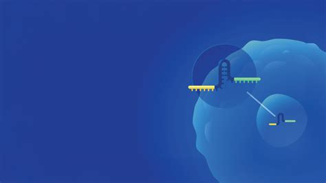 Scalable In Vivo Transcriptional Circuit Mapping With Fixed Cell