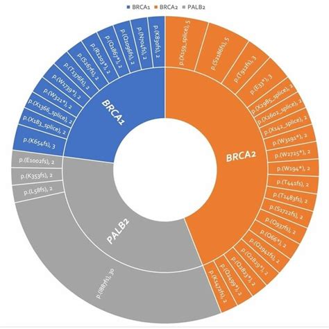 Mutation Map Of Brca1 Gene Download Scientific Diagram