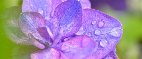 How To Use Jotai And Usetransition For Mutation Dev Community