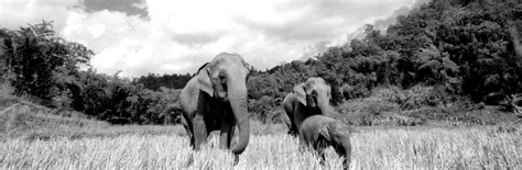 Setting Up Postgresql On Macos A Fresh Start Guide Dev Community