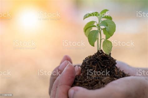 세계 환경 일 Reforesting 에코 바이오 아 버 Csr Esg 생태계 조 림 개념 아버지와 딸 아이가 성장 하는 토양에