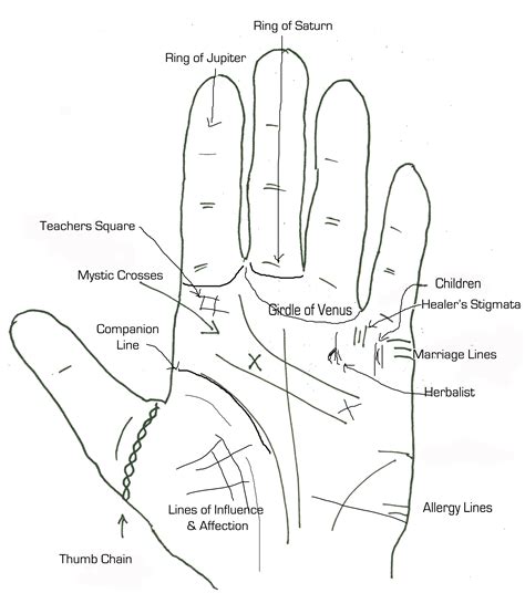 Palmistry Handouts Palmistry Reading Palm Reading Palmistry