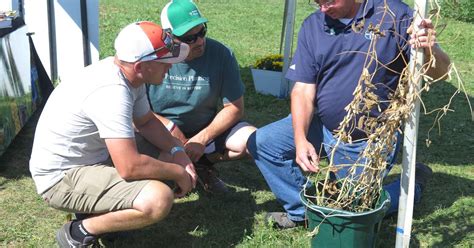 New Isa Agronomy Plots ‘a Fresh Start Agrinews