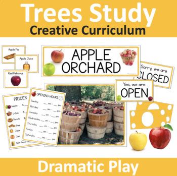 Trees Study Creative Curriculum By Iheartprebabe TPT