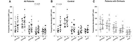 Transporter Expression In The Liver As A Function Of Sex Transporter Download Scientific