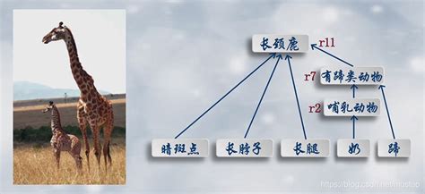 笔记 人工智能导论 第三章 产生式知识表示法产生式的具体例子 Csdn博客
