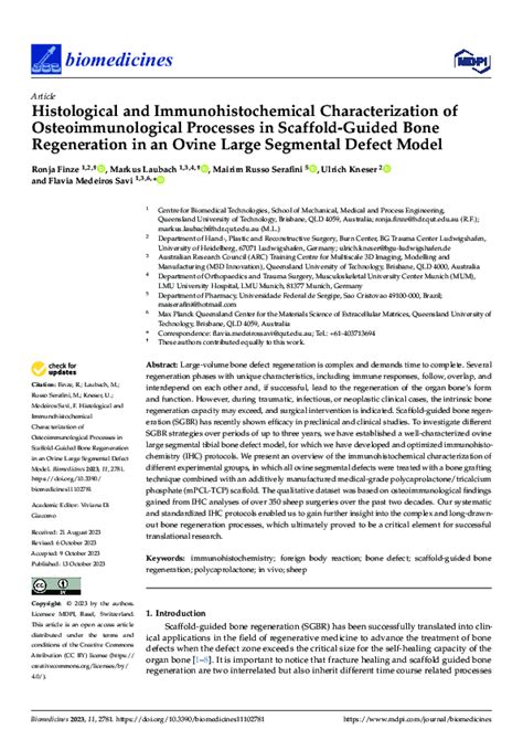 Pdf Histological And Immunohistochemical Characterization Of Osteoimmunological Processes In