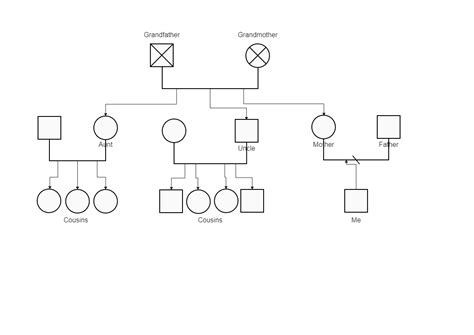 How To Draw Genogram Steps On Broadway PELAJARAN