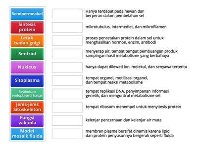 Perbedaan Struktur Sel Prokariotik Dan Sel Eukariotik Sumber Daya