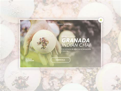 40 Pop Up Design Examples For Web Design Naldz Graphics