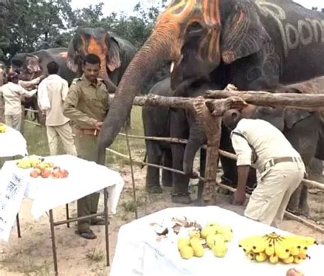 Sampada Portal सम्पदा पोर्टल 2 0 में तकनीकी खामियों से रजिस्ट्री प्रक्रिया में दिक्कतें