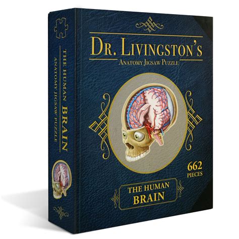 Human Brain Anatomy Jigsaw Puzzle Unique Shaped Science Puzzles