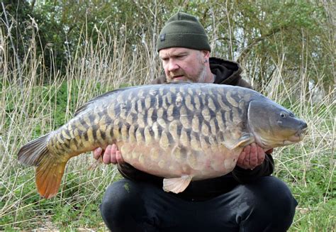 Lb Fully On Heavily Glugged Bug Pop Up Dna Baits