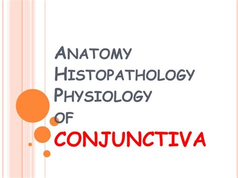 Anatomy And Pathophysiology Of Conjunctiva Pptx