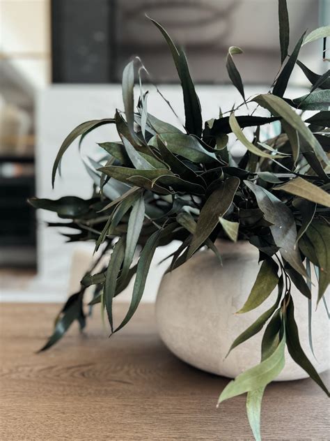 The Style Edit Collective Styled In Our Home