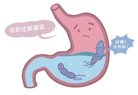 体检查出幽门螺杆菌（hp）感染，不吃药会自动好吗？还会复发吗？ 知乎