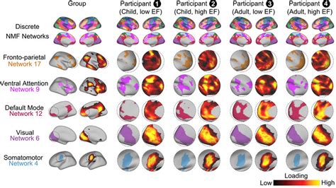 Individuals Display Distinct Functional Network Topography The Group