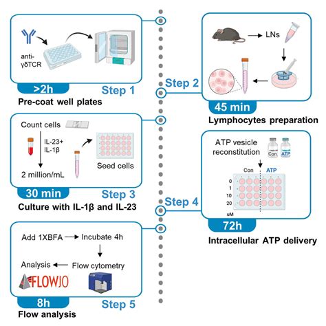 cell press star protocols
