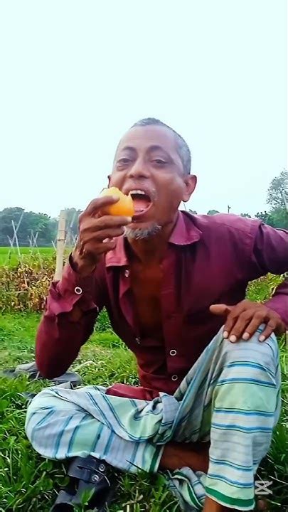 কৃষকের বেগুন বেচতে না পেরে নিজেই খাচ্ছে 🍒🍅🍅 Youtube