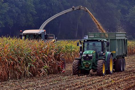 2022 Corn Silage Variety Trial Results Northwest Ny Dairy Livestock