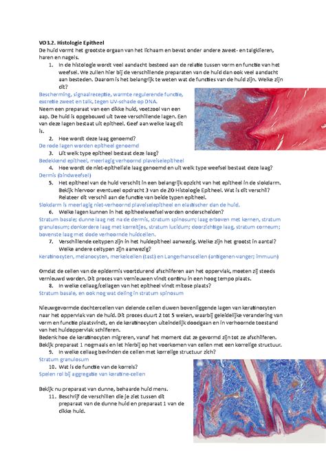 Vo2 Histologie Epitheel Vo3 Histologie Epitheel De Huid Vormt Het Grootste Orgaan Van Het