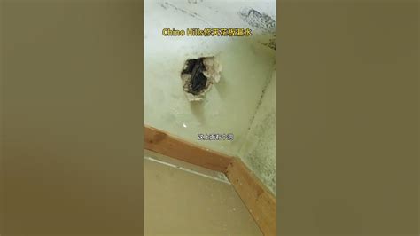洛杉矶、奇诺岗天花板漏水维修，这个位置非常难处理，只能伸进去一只手，在眼睛正上方，必需戴护目镜。 洛杉矶好运维修 美国好运维修 洛杉矶漏水维修 洛杉矶管道维修 洛杉矶水管工 Youtube