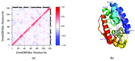 Pairwise Residue Cross Correlation Matrix Of Dmelobp28a Panel A