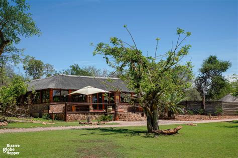 Balule Nature Reserve Off The Beaten Path Safari Destination In