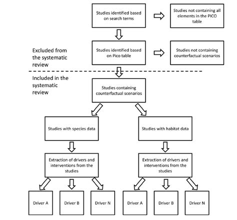 flow chart of search strategy and extraction of information from