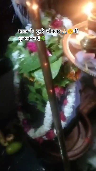 तेरे माथे पे सजा है भोले चंदा गंगा बहे तेरे काले काले जाटवमेंtrending