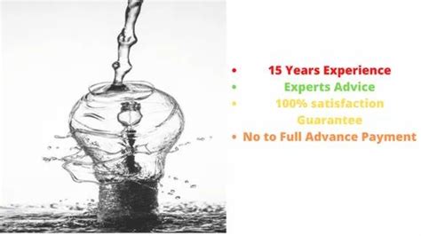 Dynamic Web Designing Services At Rs 4999 Pack In Ghaziabad