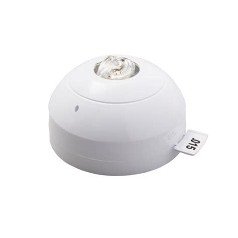 Apollo Addressable Cat W Loop Powered Vad White Flash White Body