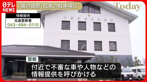 【情報呼びかけ】民家の駐車場に猫の頭部右目に傷 │ 【気ままに】ニュース速報
