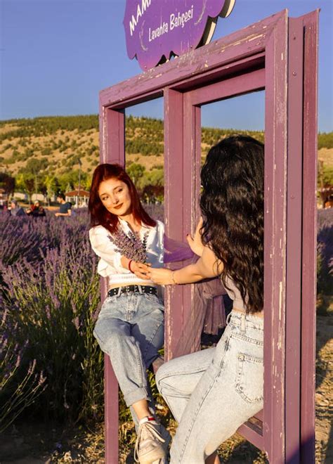 경치 경치가 좋은 꽃 꽃무늬 꽃이 피는 농촌의 들판 라벤더 라벤더 부시 라이프스타일 모험 몽환 보라색 상호 작용 수확 식물 신선 아름다움