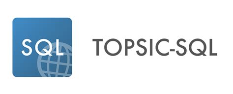 プログラミングスキル判定サービス Topsic