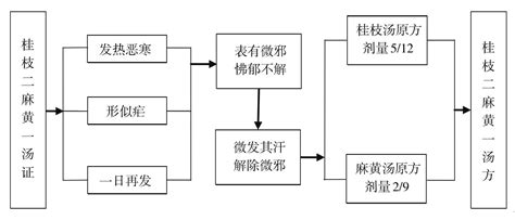 桂枝二麻黄一汤证 仲景方证解读与应用