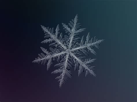 12 Stunning Snowflake Photos You Wont Believe Were Taken By An Amateur