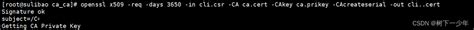在linux上使用openssl生成ca认证文件并为服务器和客户端颁发ca签名证书 linux 生成证书 csdn博客